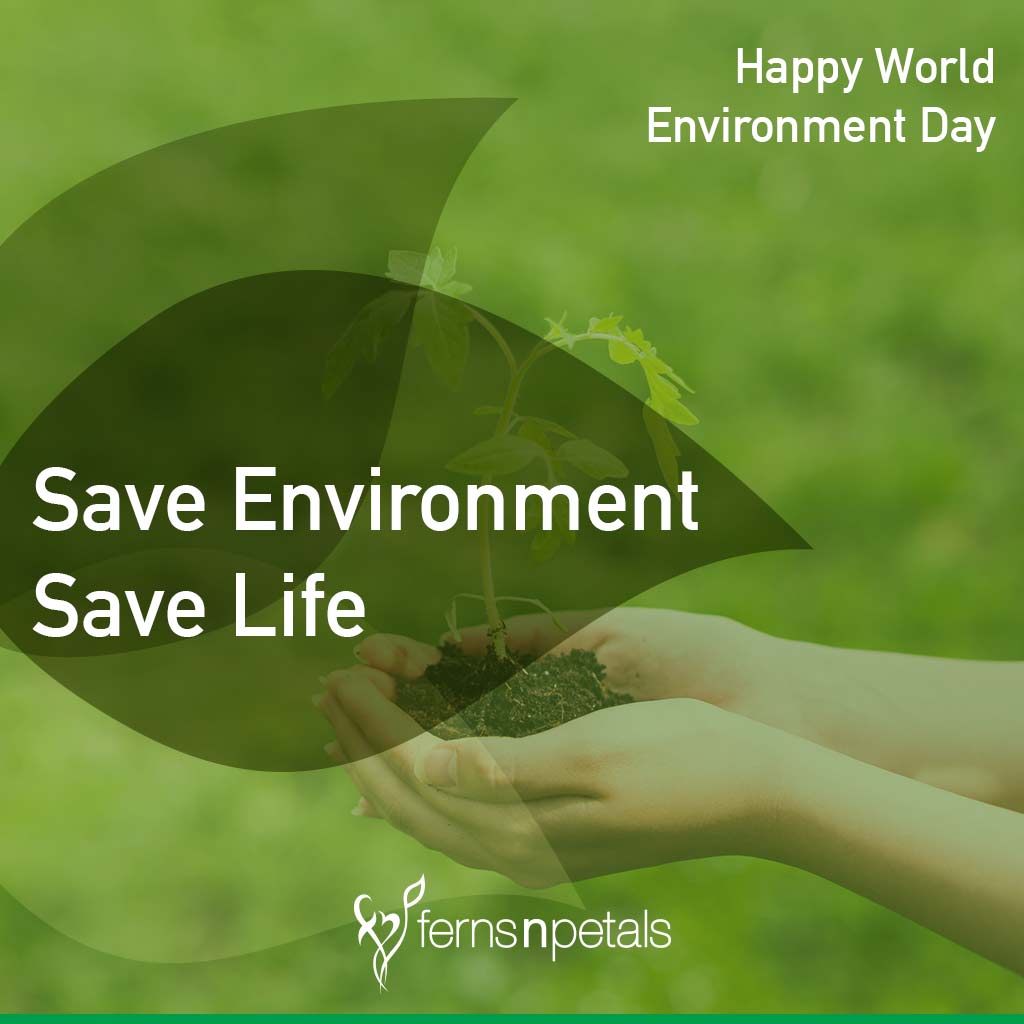 20+ Happy World Environment Day Quotes, Wishes, Slogan N Messages - FNP