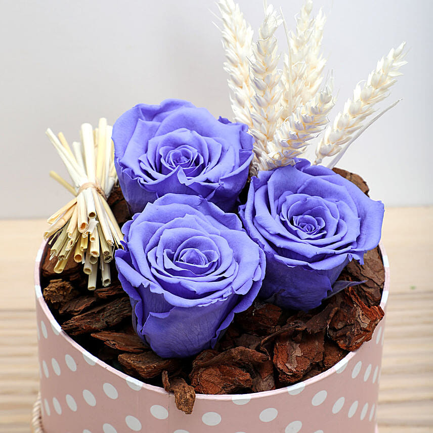 Online Purple Forever Roses Gift Delivery in UAE - FNP