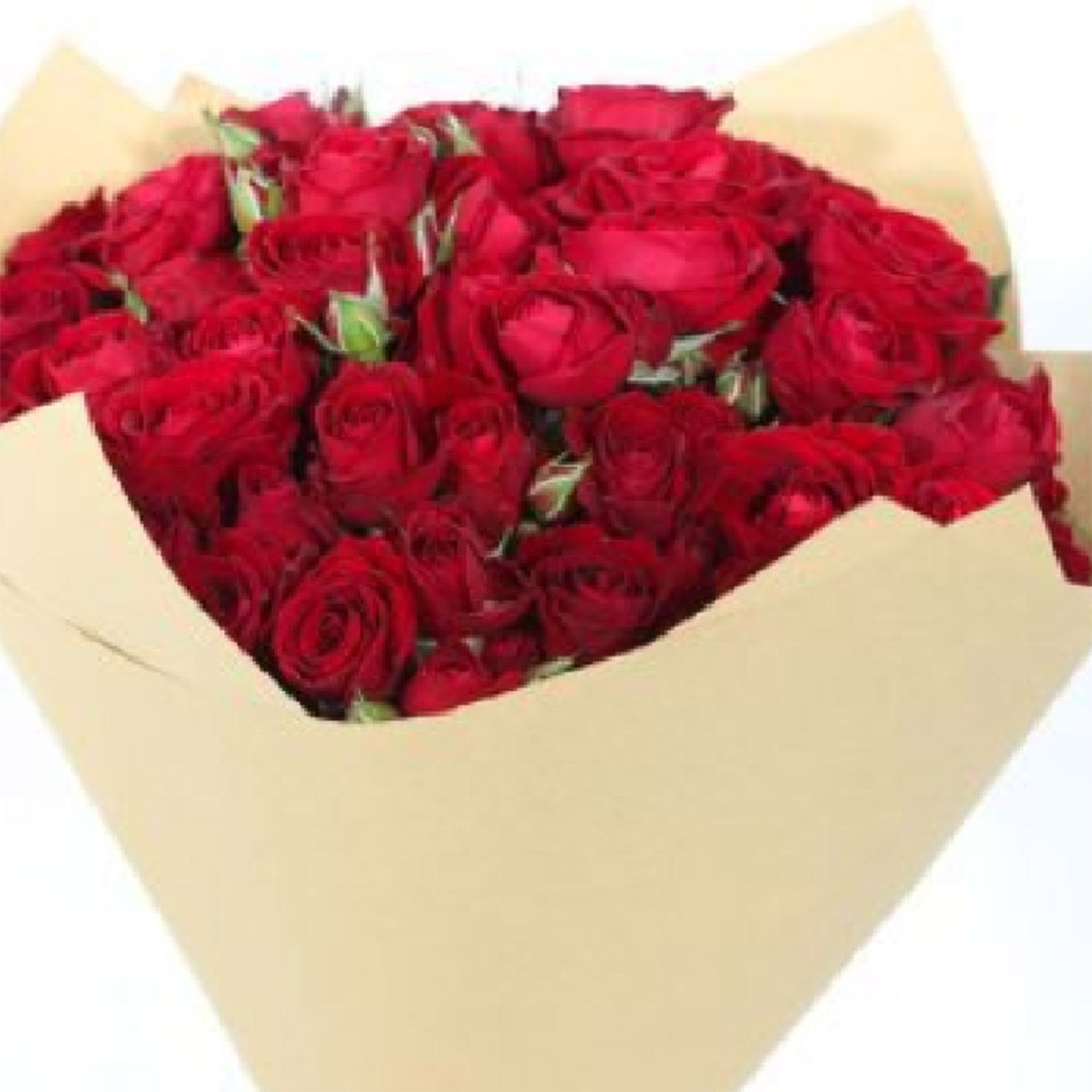 Online 10 Stems Of Red Spray Roses Bouquet Gift Delivery in Qatar - FNP