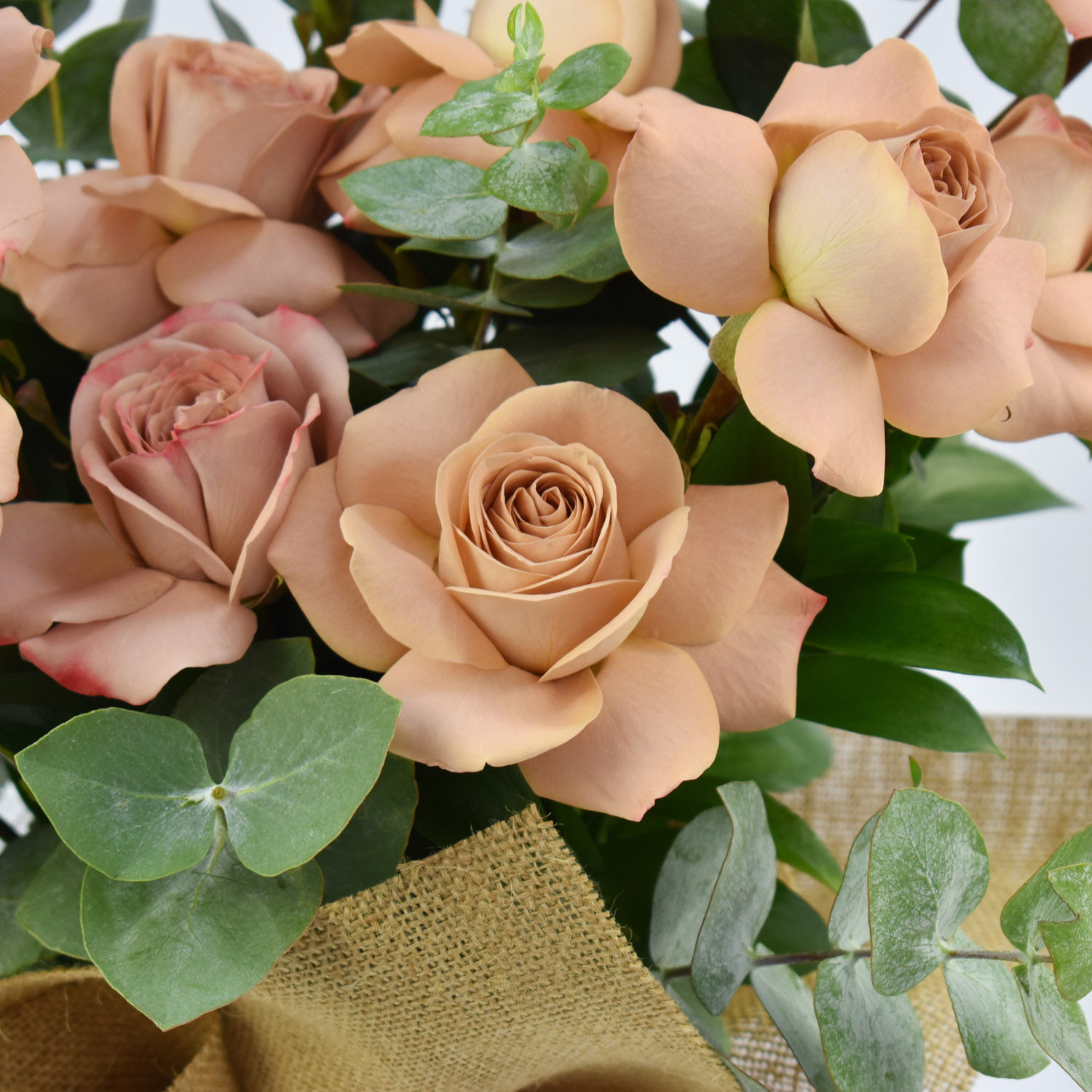 Online 12 Cappuccino Roses Bouquet Gift Delivery in UAE - FNP